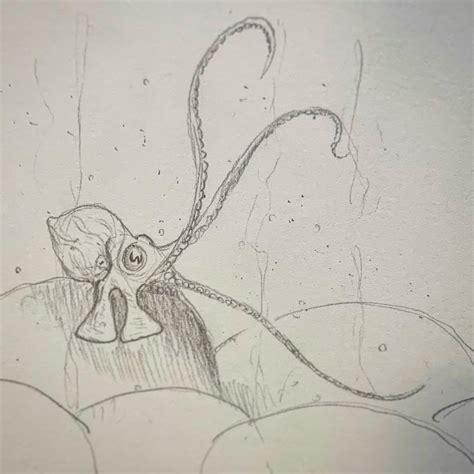 488 Best Cephalopods Images On Pholder Splatoon Cephalopods And Speculative Evolution