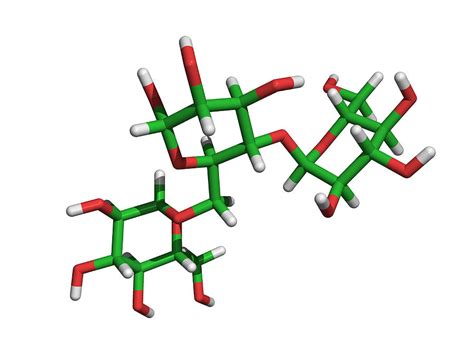 Amylopectin Molecule 1 By Science Photo Library