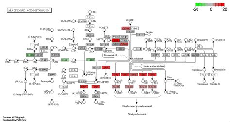 Index Of Cloudir Reports Transcriptome Enrich GSEA KEGG Category Treat Vs Control KEGG