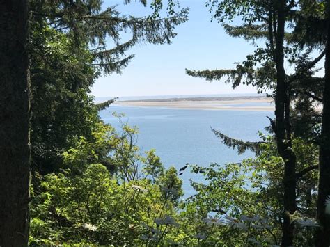 Beat The Heat And Spot Majestic Wildlife At Nestucca Bay Wildlife