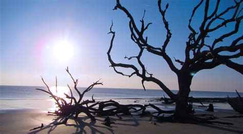 Jekyll Island Campground Rv Places To Go