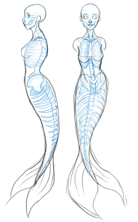 Tips On Drawing Mermaids Tutorials Sketch A Day