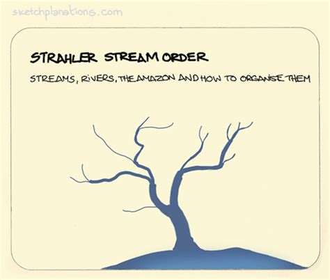 Strahler Stream Order Streams Rivers The Amazon And How To Organise