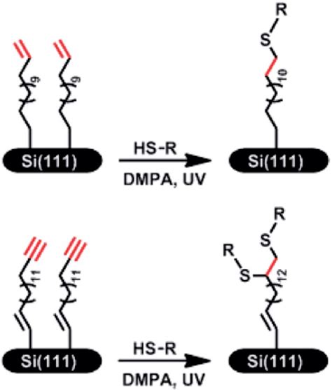 Radical Thiol Ene And Thiol Yne Chemistries As Efficient Routes For The