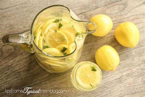 Homemade Mint Lemonade Tips From A Typical Mom