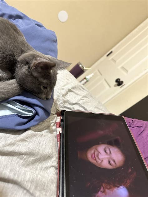 My Kitten Kyle Is Addicted To Greys Anatomy Rcatsareweird