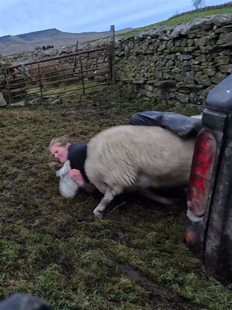 Samshutt Samshutt Tiktok