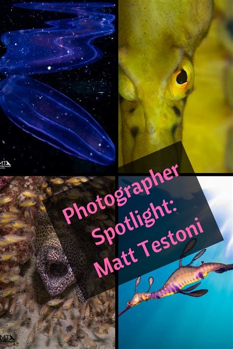 Photographer Spotlight Matt Testoni • Scuba Diver Life