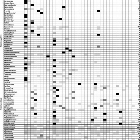 Schematic Representation Of How Phage Endolysins Gain Access To The Pg
