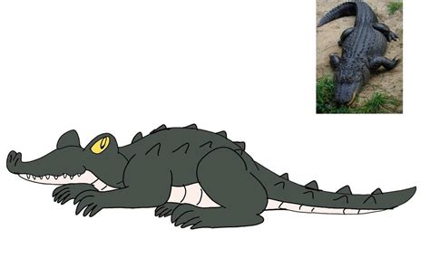 American Alligator By Rubybadger223 On Deviantart