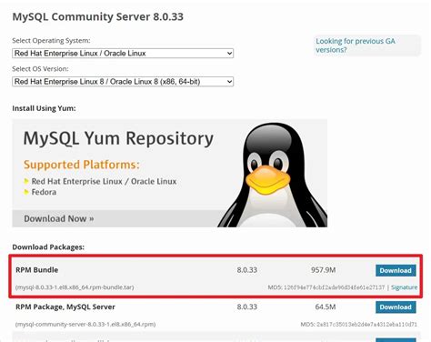 Linux 安装 Mysql Ai技术聚合