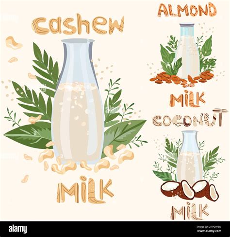 Plant Based Milk Concept Alternative Non Dairy Drinks For Health