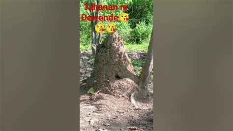 Bahay Nang Dewende ️shorts Amazing Youtube