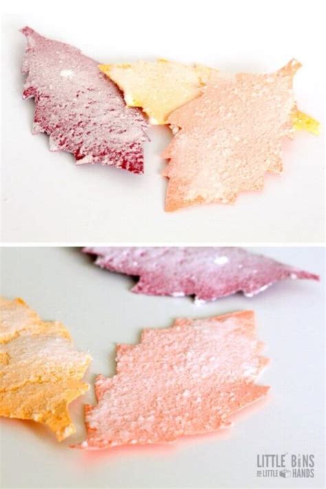 Leaf Stem Activities Hands On Science Ideas