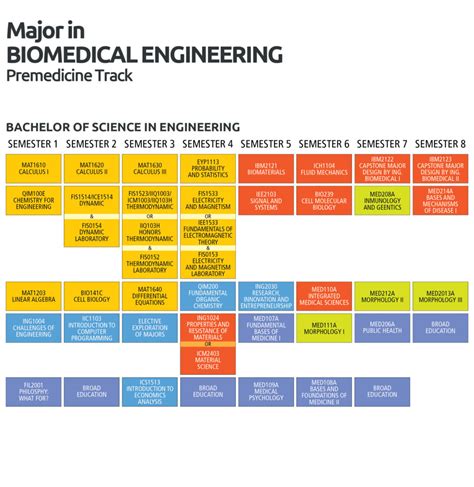 Major In Biomedical Engineering Ingeniería Uc