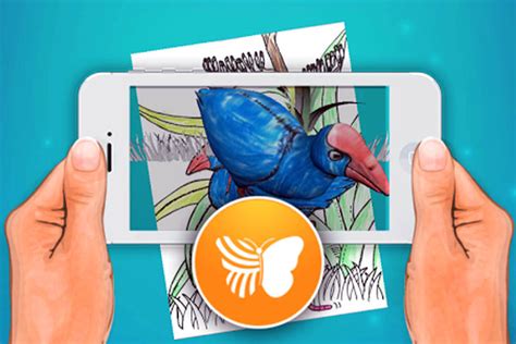 color in 3d with quiver ferguson library