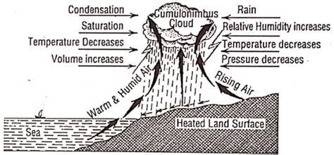 Wbbse Notes For Class 8 Geography Chapter 5 Cloud And Rain Wbbse