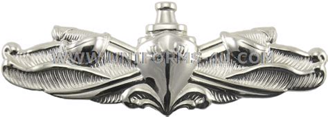 Navy Security Force Specialist Pin