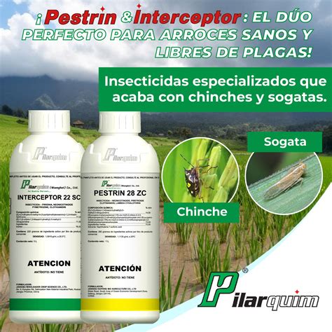 Pilarquim 🌾🛡️ ¡pestrin And Interceptor El Dúo Imbatible Para Arroces