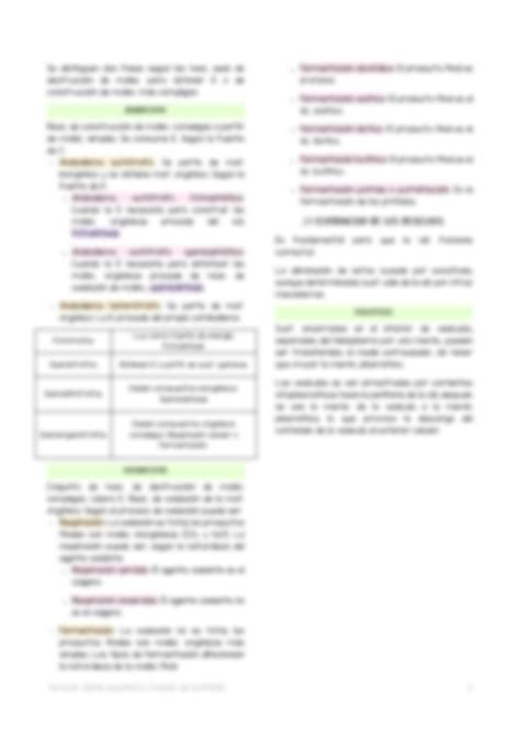 Solution Funcion De Nutricion En La Celula Eucariota Studypool