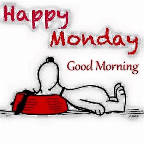 Pin By Joann Spooner On Monday Blues And Coffee Good Morning Snoopy