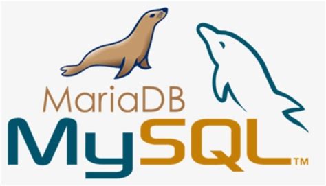 Mariadb Official Logo Mariadb Corporation Logo Hd Png Download Kindpng
