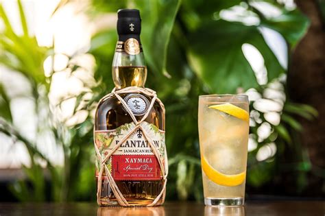 8 Unique Bottles To Upgrade Your Home Bar According To Bartenders Maxim