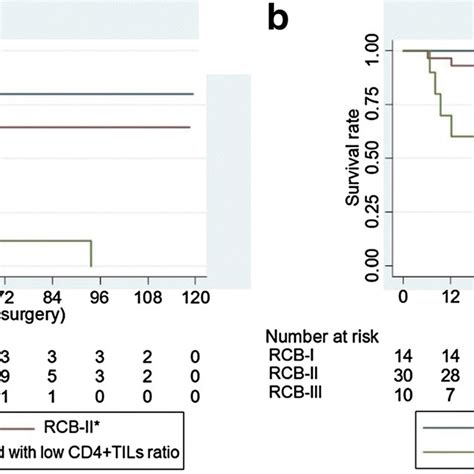 Residual Cancer Burden Index And Tumor Infiltrating Lymphocyte Subtypes