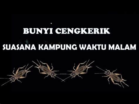 Bunyi Cengkerik Suasana Kampung Waktu Malam Crickets Sound Sound