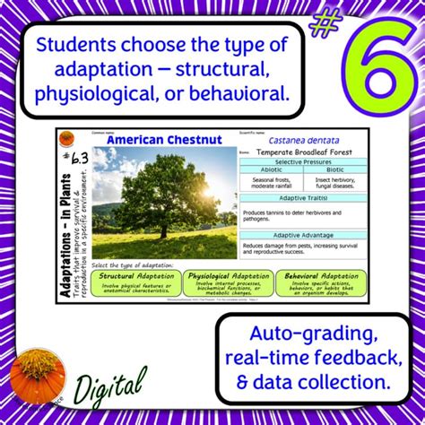 Plant Adaptation 6 Digital Activity Hs Biology Evolution Natural