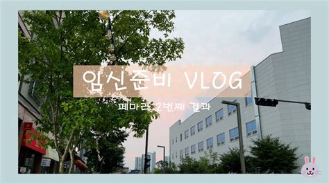 임신준비vlog 페마라 두번째 시도 결과는ㅣ자연임신 준비 브이로그ㅣ배란유도제ㅣ배란 9일부터 10일까지 임테기ㅣ백운계곡ㅣ