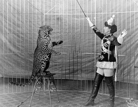 Circus Wikipedia