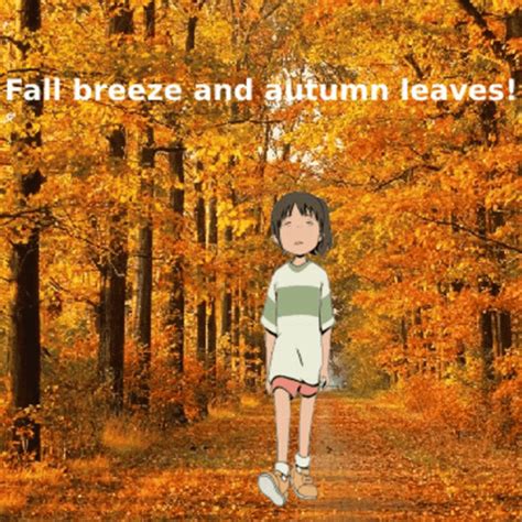Autumn Falls S