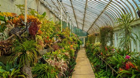 Belfast Botanic Gardens Tropical Ravine Reopens After £38 Million