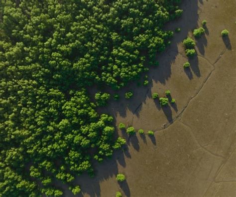 Exclusive Highlights From The Methane Mitigation Summit Series