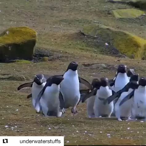 [video] Jaime Diglio🥇 On Linkedin Bettertogether Teamwork Sales Goals Leadershipcoach