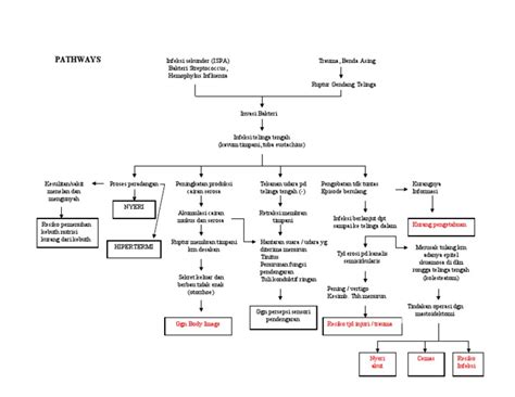 Pathway Otitis Media Pdf