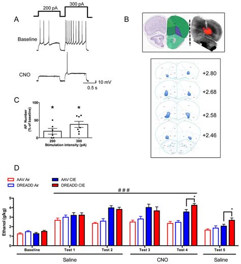 Effect Of Expression Of The Inhibitory Hm4di Dreadd In Lofc On Spike