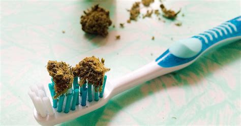 Step Aside Crest Making Your Own Weed Toothpaste Is The Way Of The Future