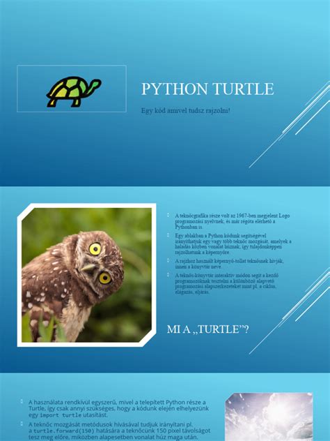 Python Turtle Pdf