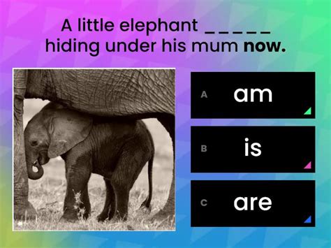 Present Continuous اختبار تنافسي Present Continuous اختبار تنافسي