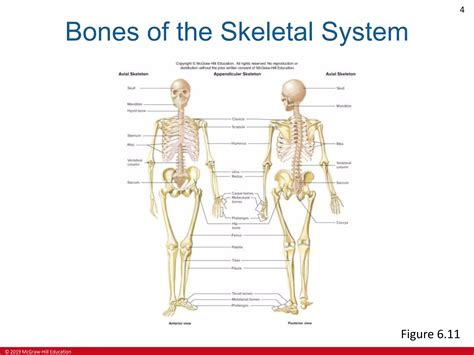 Ch06 Lecture Ppta Ppt