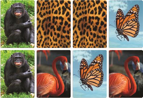 Bcat® Interventions Bcat