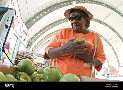 A Usda Program Focuses On Rural Development Enhancing Agriculture And