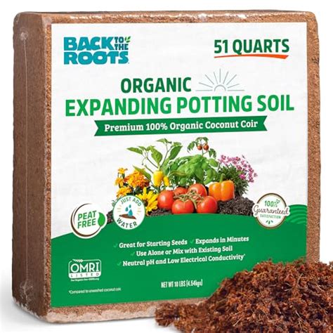 Do Cucumbers Like Acidic Or Alkaline Soil Soil Ph Secrets
