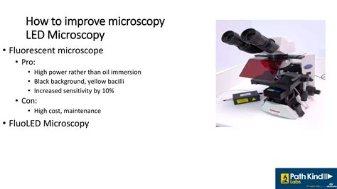 Female Genital Tuberculosis Pptx