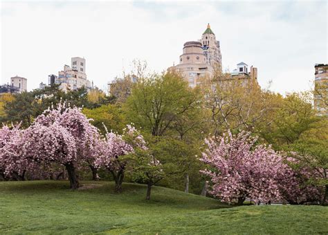 Best Time To Visit Nyc Month By Month Guide Travel Hiatus