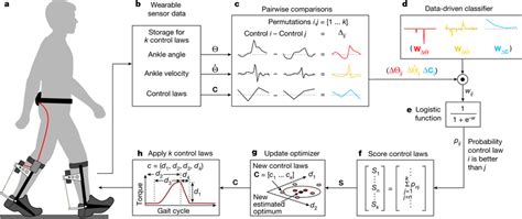 Data Driven Exoskeleton Optimization We Used Data From Laboratory Tests Download Scientific