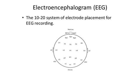 Biosignal Ecg Eeg And Emg Pptx