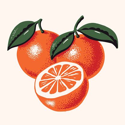 Free Orange Vector Art Download 2168 Orange Icons And Graphics Pixabay